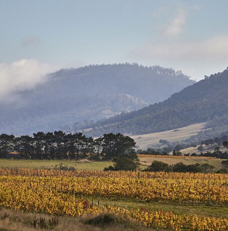 Partners | Electrolux Australia