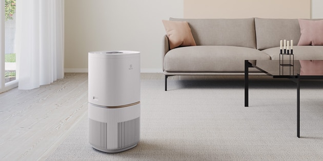 Air Purifier Buying guide | Electrolux Australia