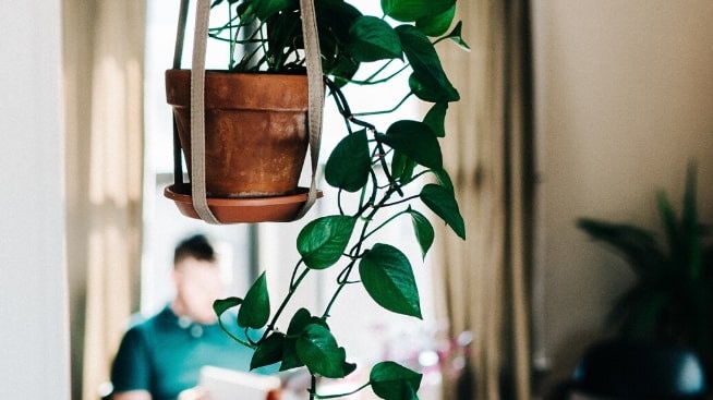 How to create balance and harmony in the home with these five simple ...