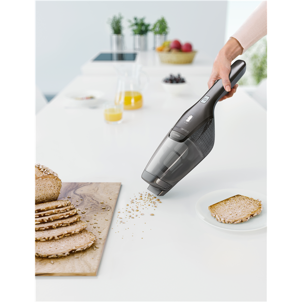 Ergorapido stick vacuum cleaner- Iron grey - ZB3501IG | Electrolux ...