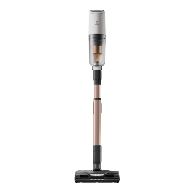 800 Series Stick Vacuum with Extra Battery & Charge Stand - EFP81813B ...